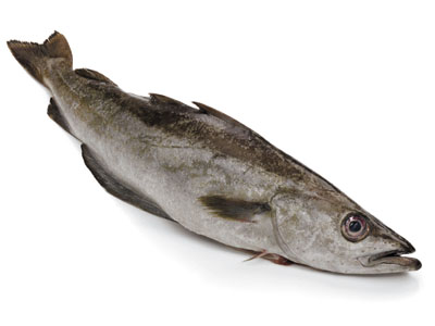 Fish Guide - Frydays Fish & Chips, Seaton